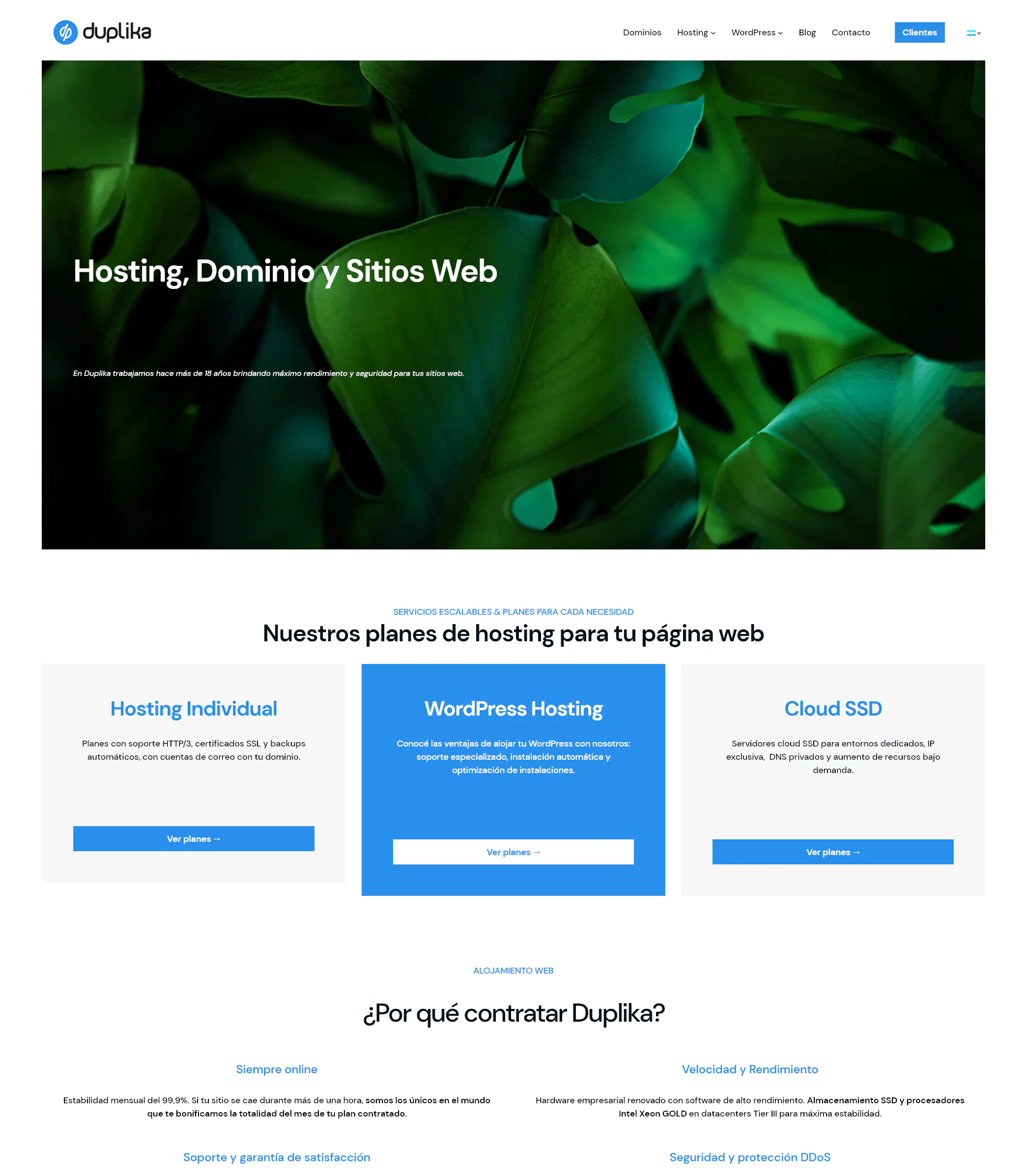 ¿Cómo crear una página web? – Duplika